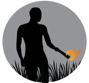 The Grass-Fire Cycle on Pacific Islands | Pacific Fire Exchange