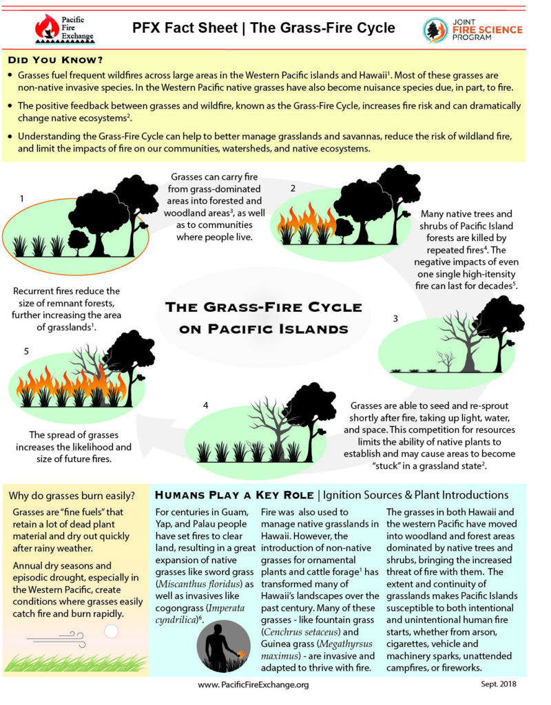 The Grass-Fire Cycle on Pacific Islands | Pacific Fire Exchange