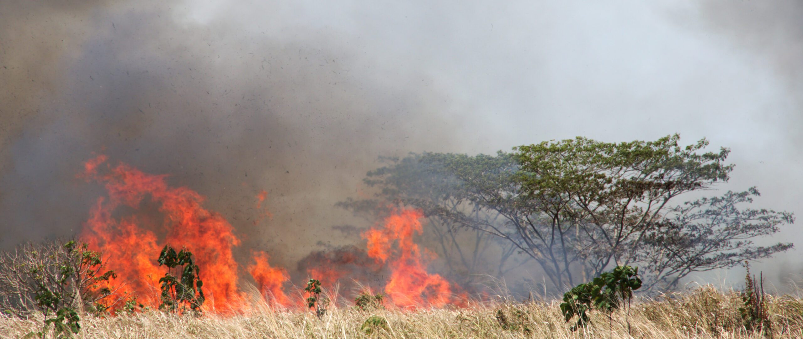 About the Exchange | Pacific Fire Exchange