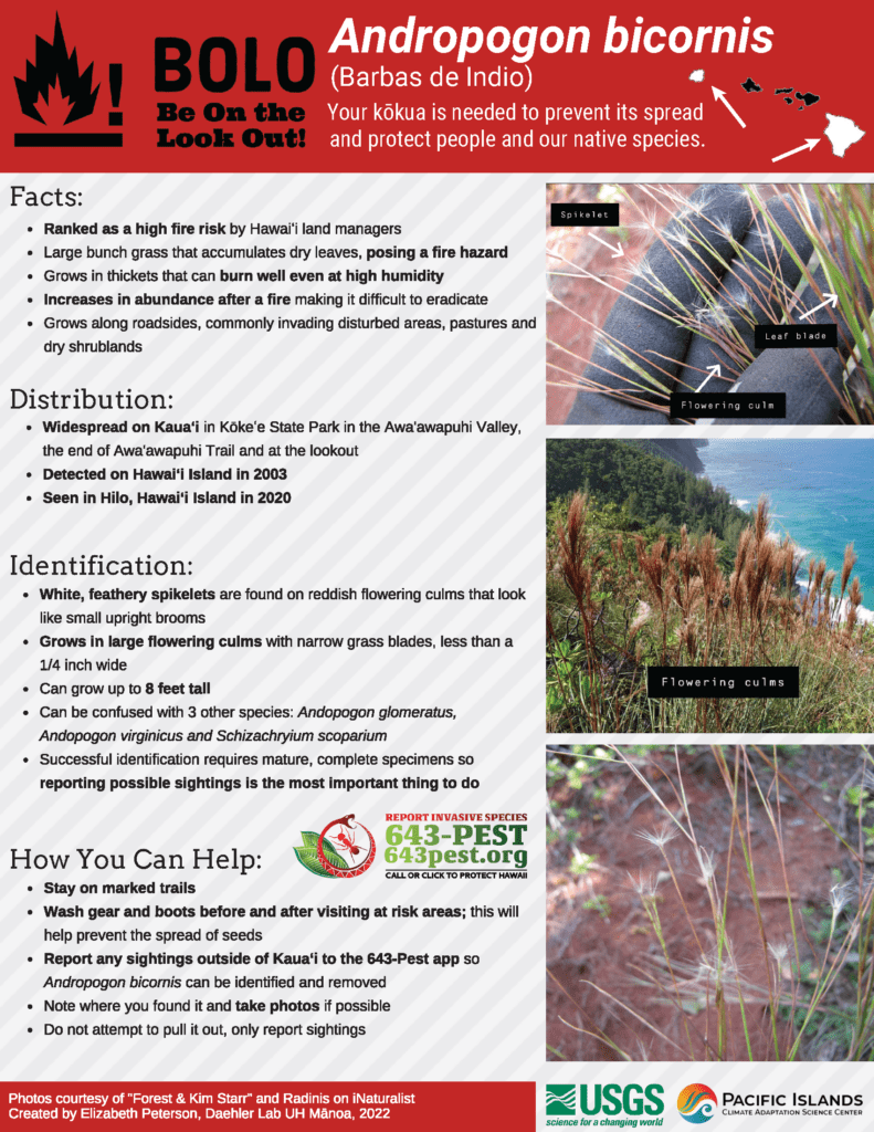Weed Fire Risk Assessment for Hawai‘i: Database, Factsheet & Webinar ...
