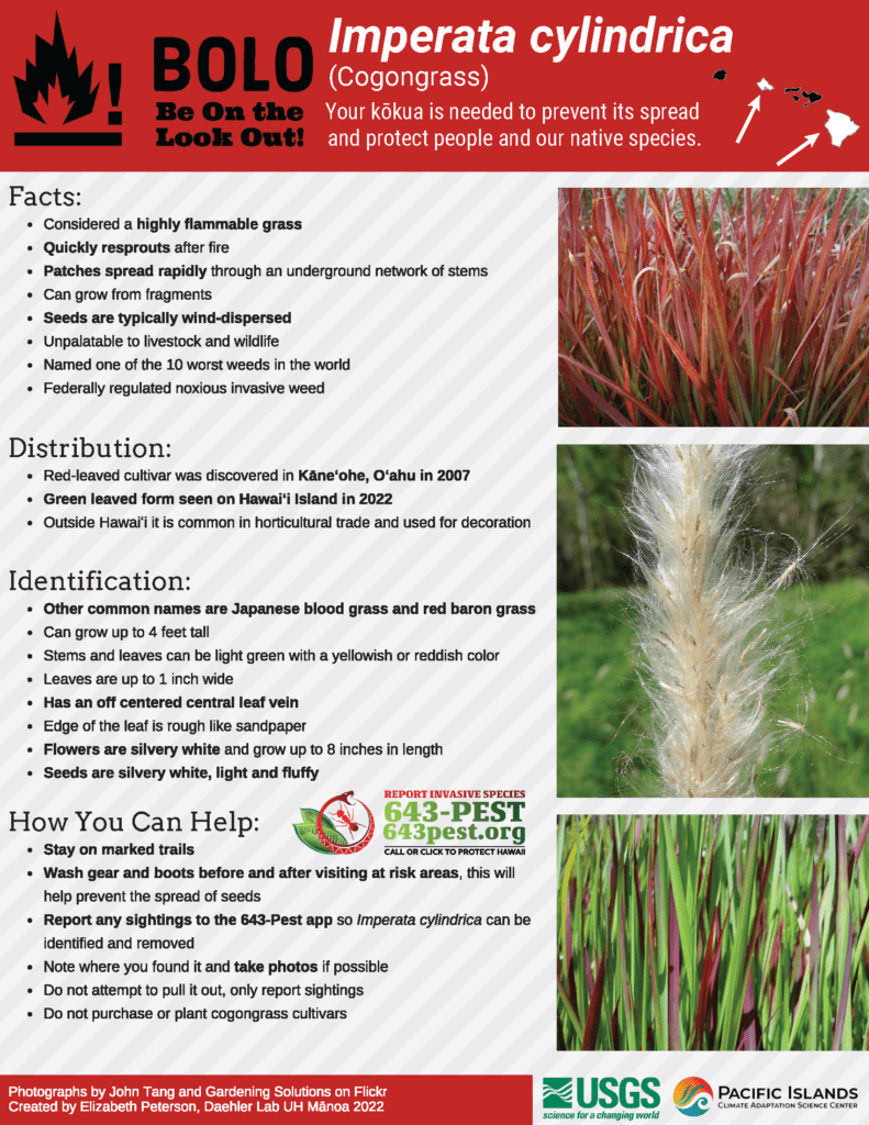 Weed Fire Risk Assessment for Hawai‘i: Database, Factsheet & Webinar ...