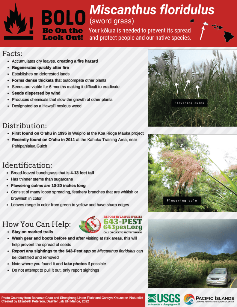 Weed Fire Risk Assessment for Hawai‘i: Database, Factsheet & Webinar ...