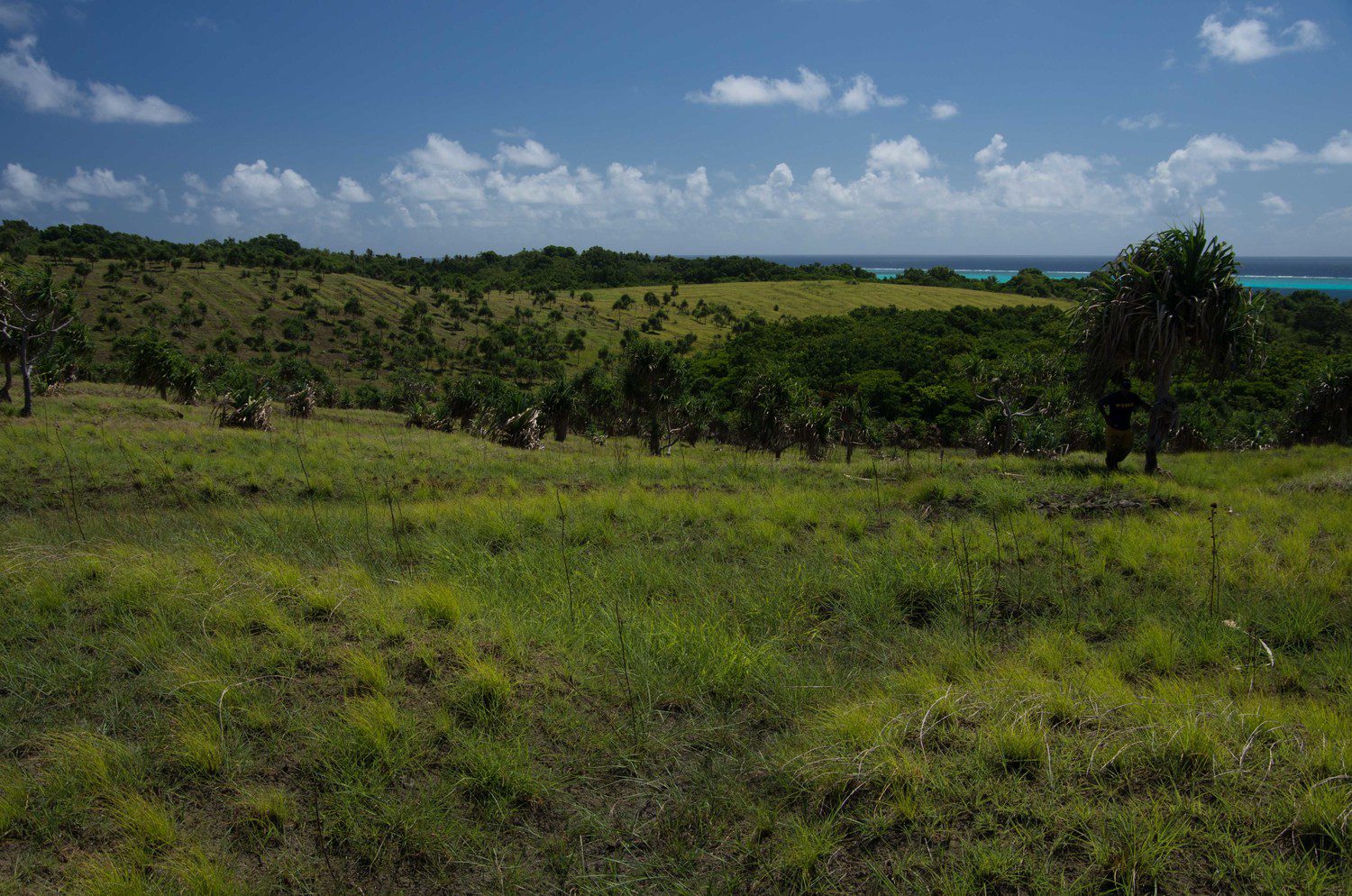 Federated States of Micronesia | Pacific Fire Exchange