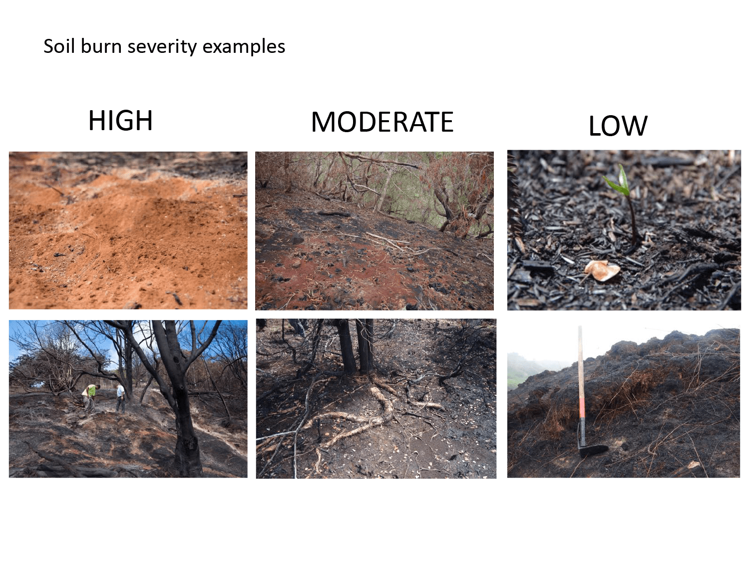 Slide Presentation: Overview of Post Fire Response | Pacific Fire Exchange