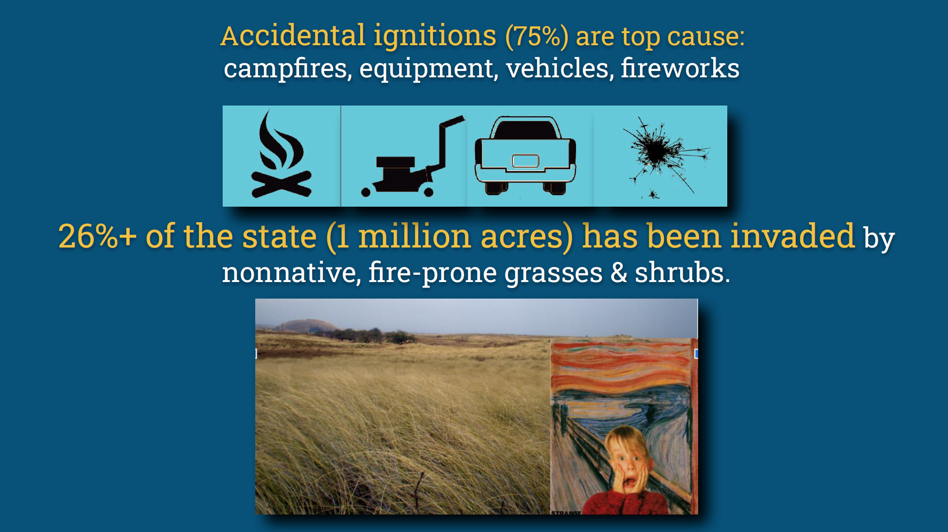 Slide Presentation: Overview of Wildfire in Hawai`i | Pacific Fire Exchange