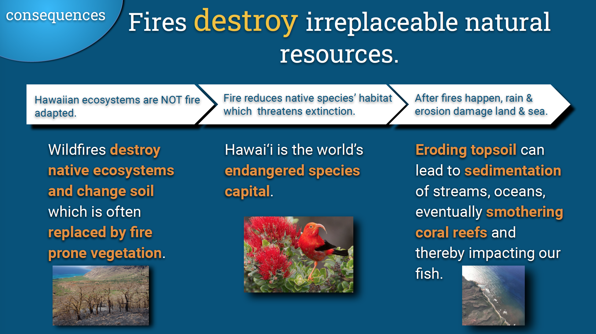Slide Presentation: Overview of Wildfire in Hawai`i | Pacific Fire Exchange