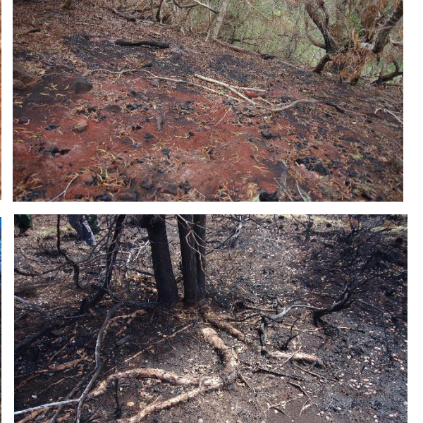 What is your emergency soil stabilization plan? This can be done in ...